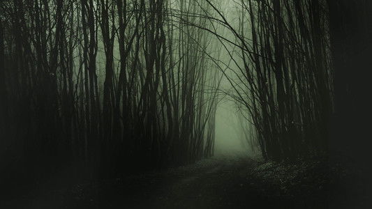 The Mire (TV Series 2018-2018) — The Movie Database (TMDb)