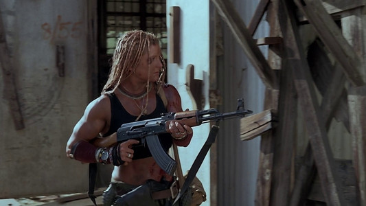 Nemesis 3: Time Lapse (1996) — The Movie Database (TMDb)