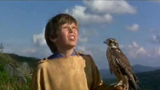 My Side of the Mountain (1969) — The Movie Database (TMDb)