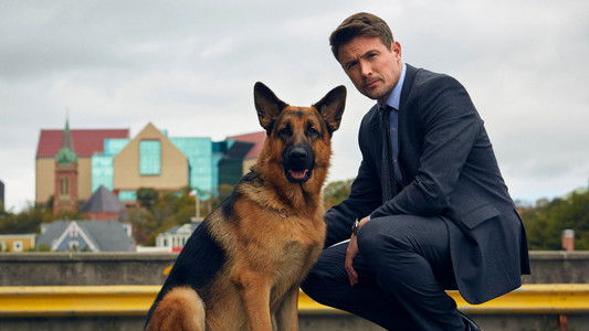 Hudson & Rex (TV Series 2019- ) — The Movie Database (TMDb)