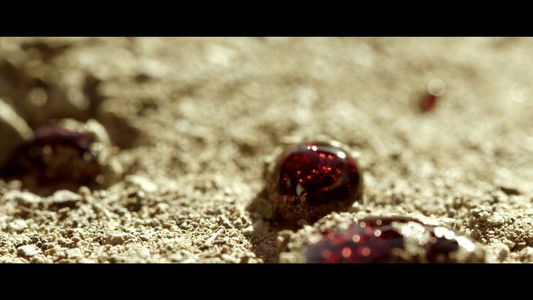 Jagveld (2017) — The Movie Database (TMDb)