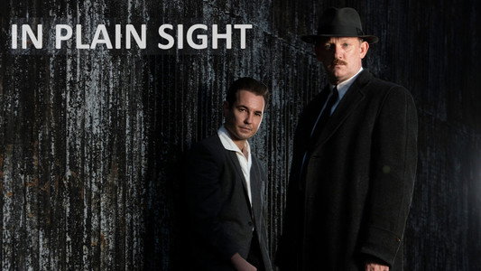 In Plain Sight (TV Series 2016-2016) — The Movie Database (TMDb)