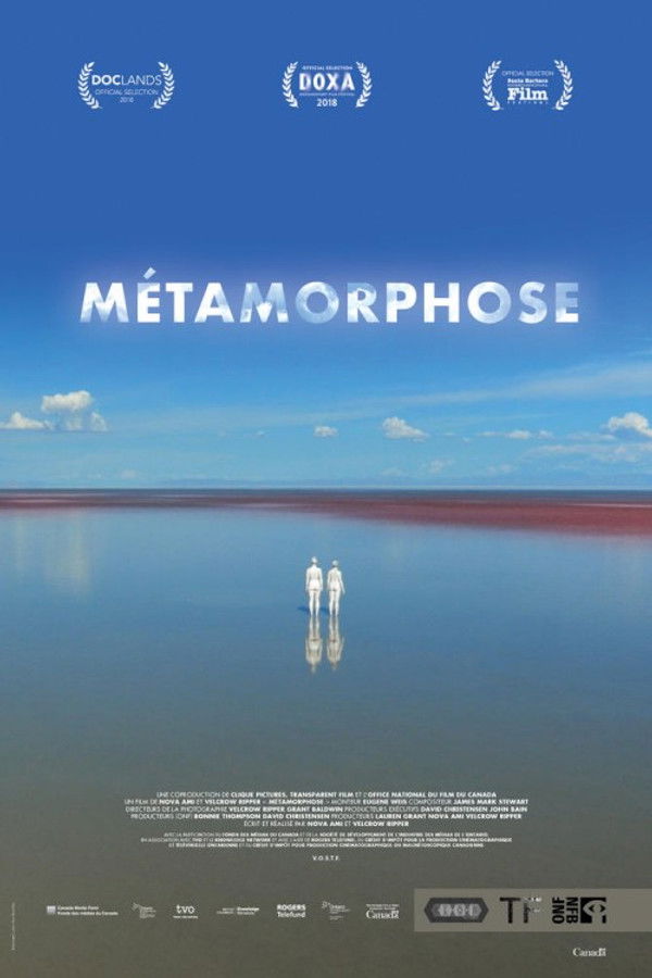 Metamorphosis (2018) — The Movie Database (TMDb)