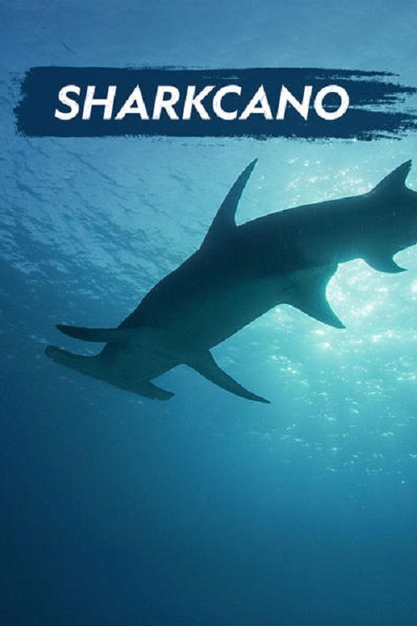Sharkcano (2020) — The Movie Database (TMDb)