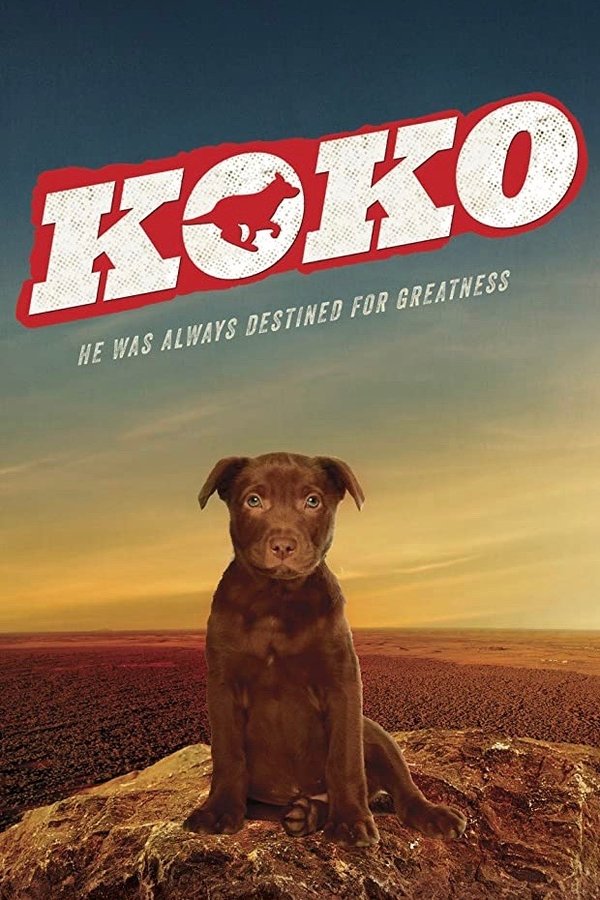 Koko A Red Dog Story 2019 Online Sa Prevodom Online Sa Prevodom