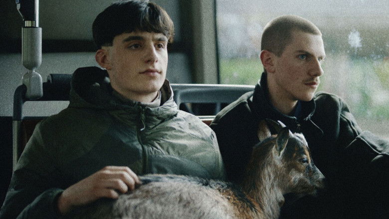 Putain (Serie, 2024 - 2025) - MovieMeter.nl