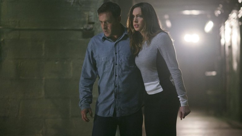 Arqueiro: 1x4 | Dragon Future