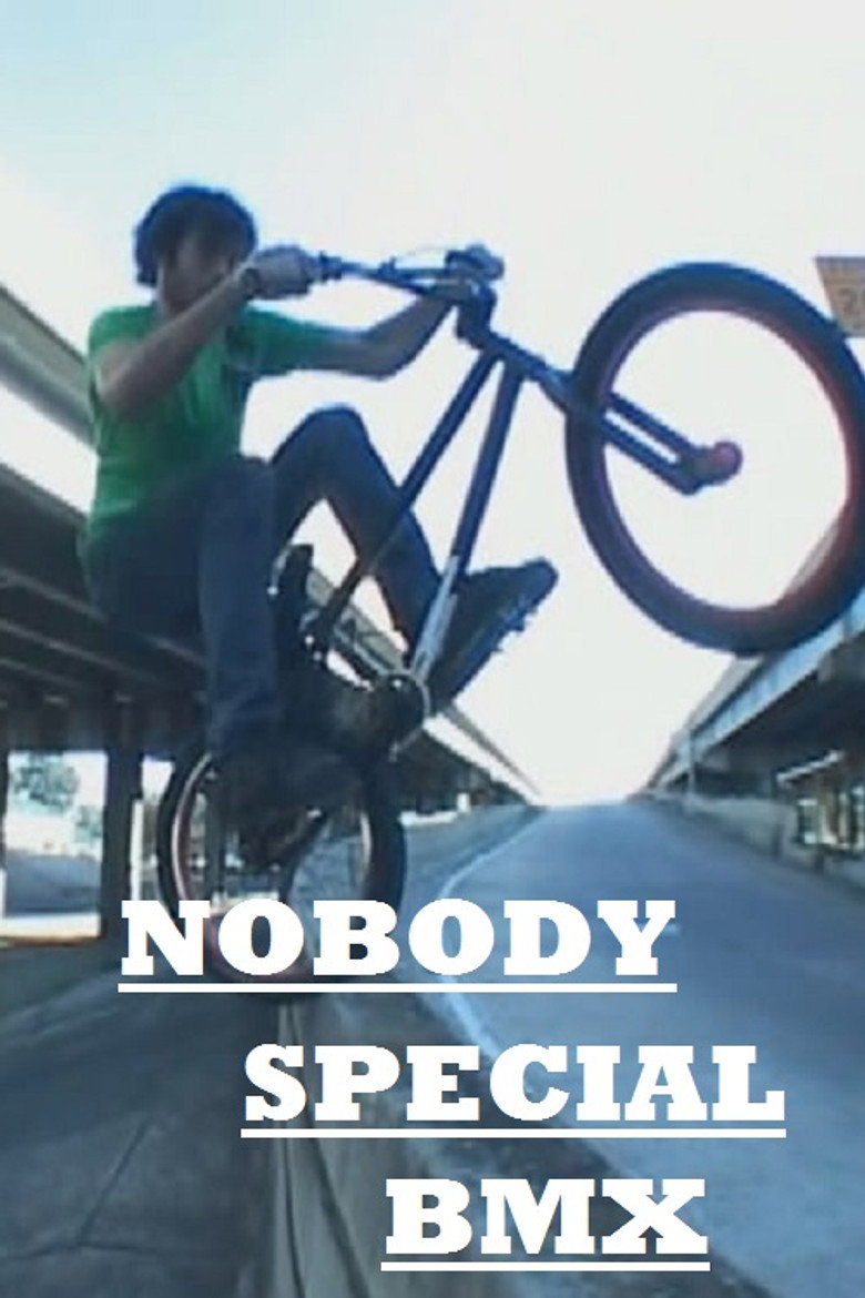 Nobody Special | Movie 2007