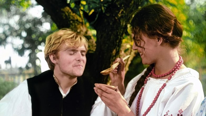 Nad Niemnem 1987 - Najlepsze filmy online | vodX.pl - Największa baza ... Nad Niemnem 1987 - Najlepsze filmy online | vodX.pl - Największa baza ...