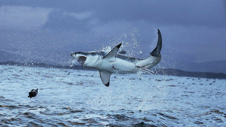 Great White (Film, 2021) - MovieMeter.nl