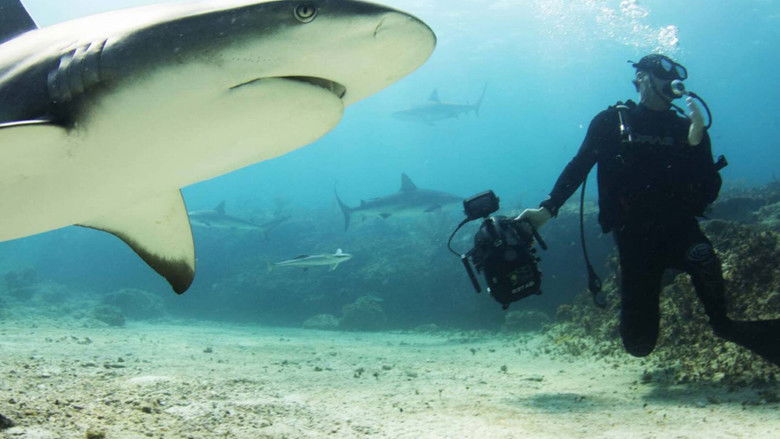 Where to stream World's Deadliest Whale (2020) online? Comparing 50 ...