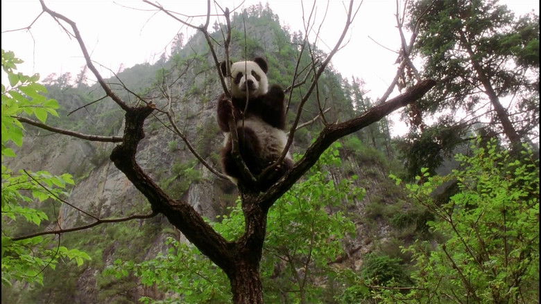 The Amazing Panda Adventure (Film, 1995) - MovieMeter.nl