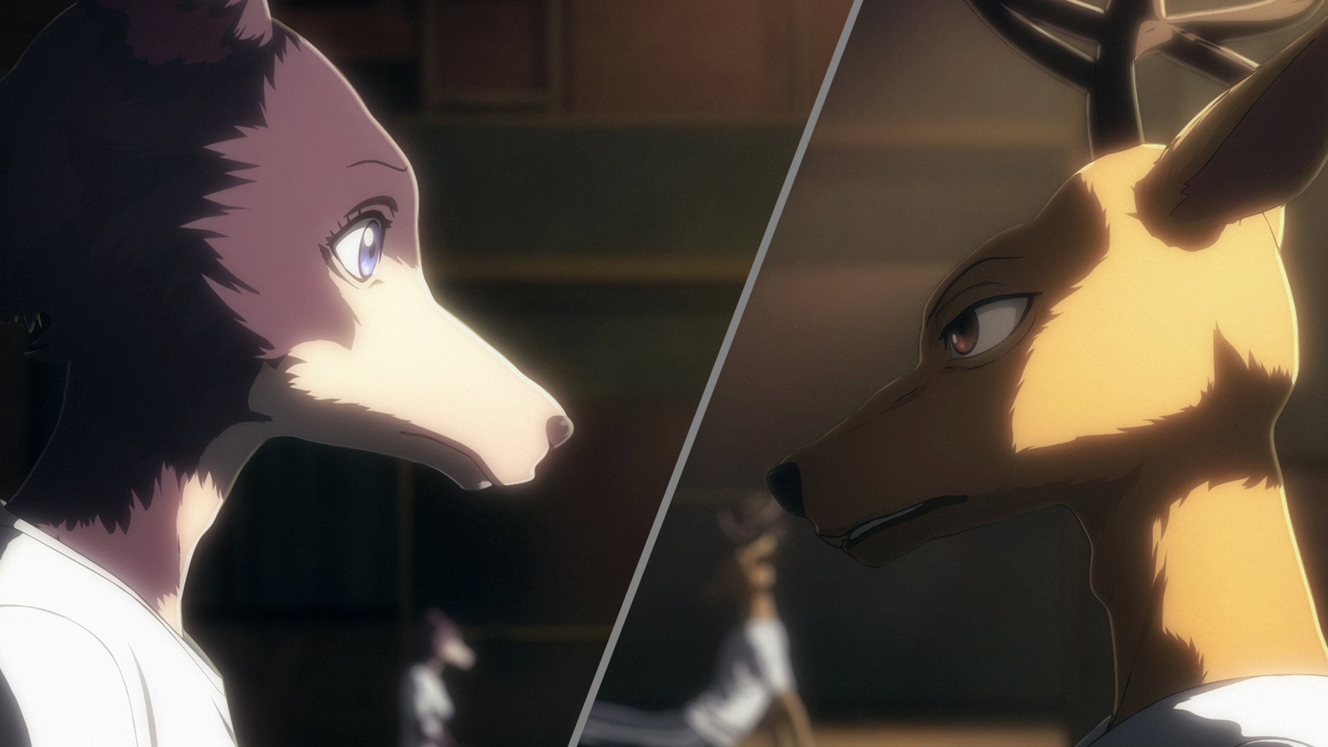 BEASTARS | Anime.com