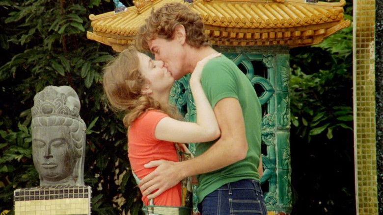 Felicity (Film, 1978) - MovieMeter.nl