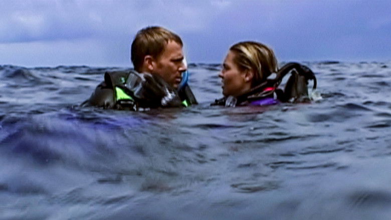 Open Water (Film, 2003) - MovieMeter.nl