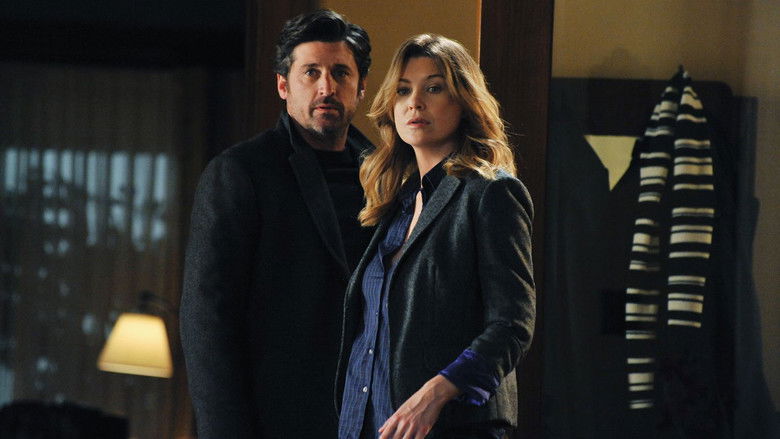 Grey’s Anatomy: 7x2 | Dragon Future