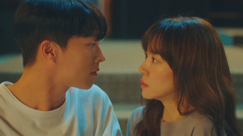 Dramacool9.co Search