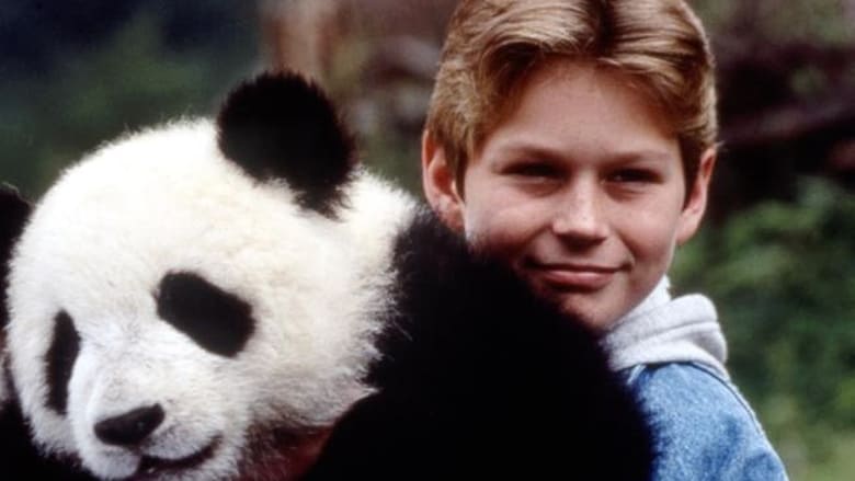 The Amazing Panda Adventure (Film, 1995) - MovieMeter.nl
