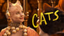 Cats Subtitles | 41 Available subtitles | opensubtitles.com